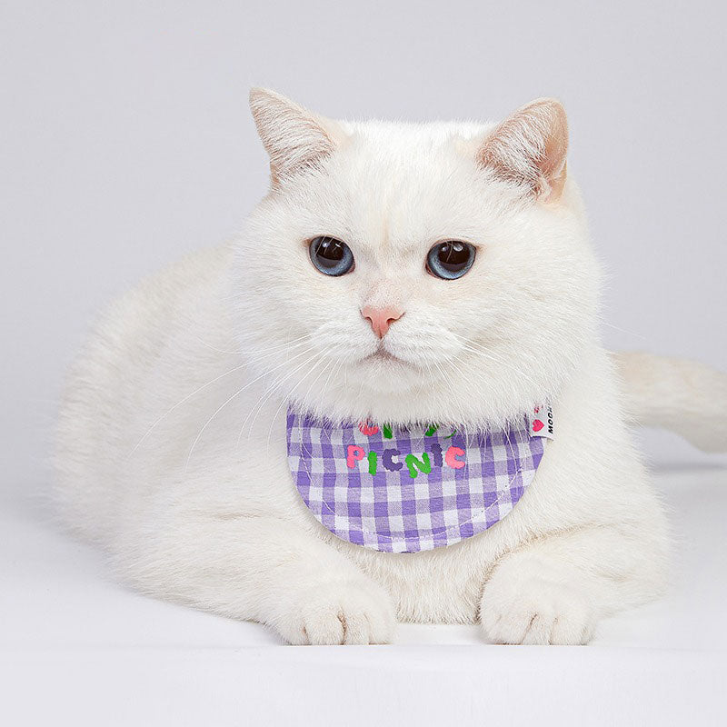 Tail Tales Zone - Cat toys, dog clothing and all for pet items. – TailTalesZone