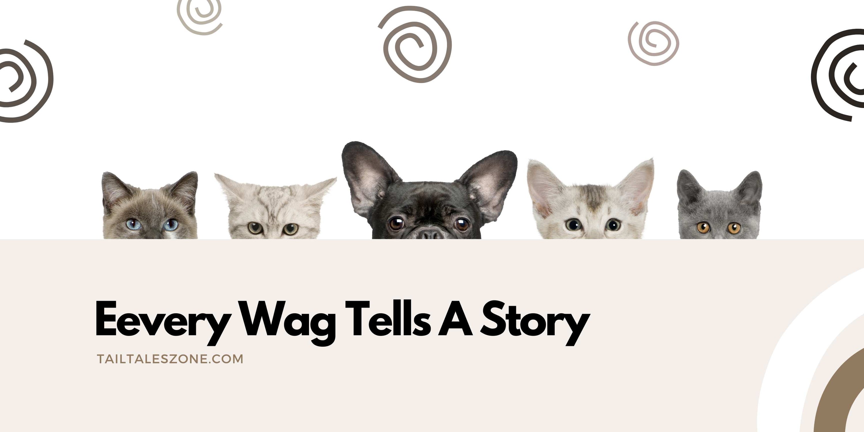 Tail Tales Zone - Cat toys, dog clothing and all for pet items. – TailTalesZone